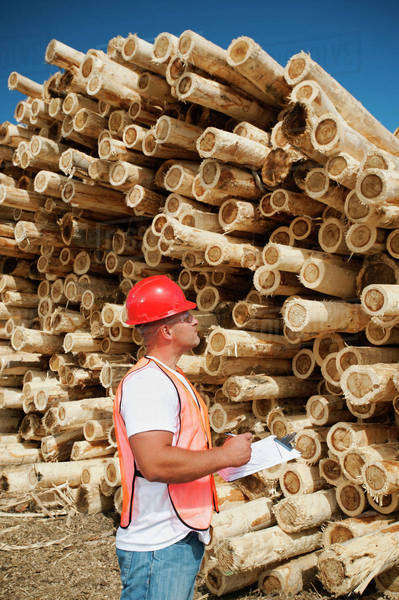 Engineer in front of stack of timber - Royalty-free Stock Photo | Dissolve