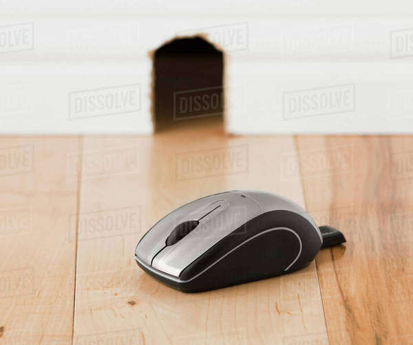 Computer mouse on floor in front of mouse hole - Stock Photo - Dissolve