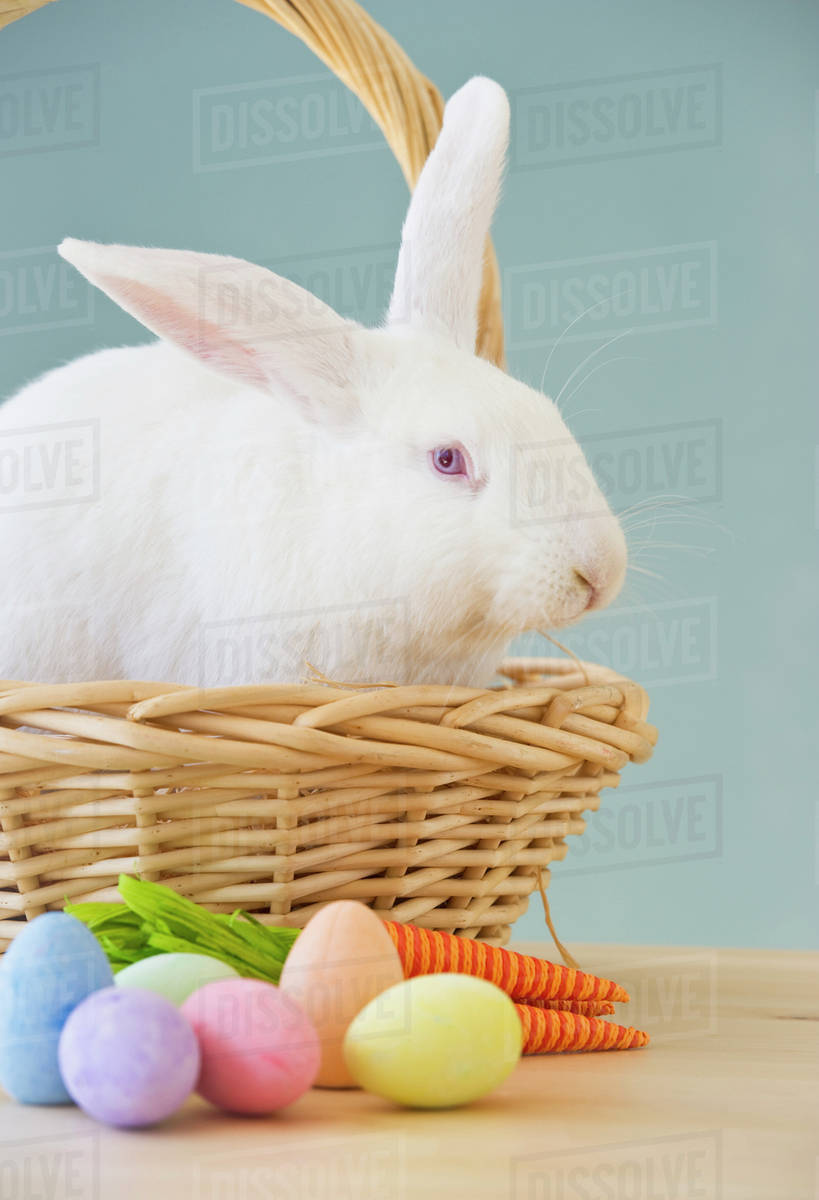 Rabbit in Easter basket - Royalty-free Stock Photo | Dissolve