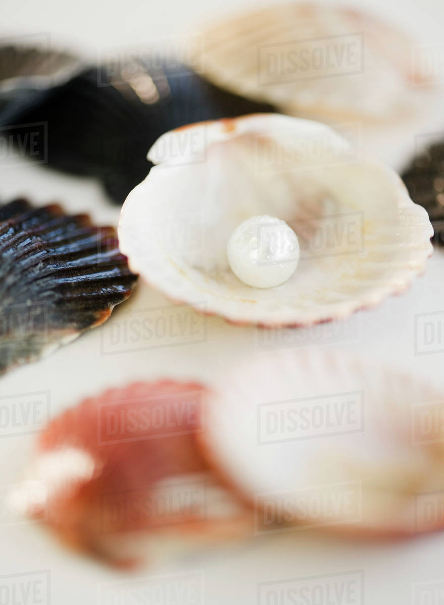 Pearl in shell - Royalty-free Stock Photo | Dissolve
