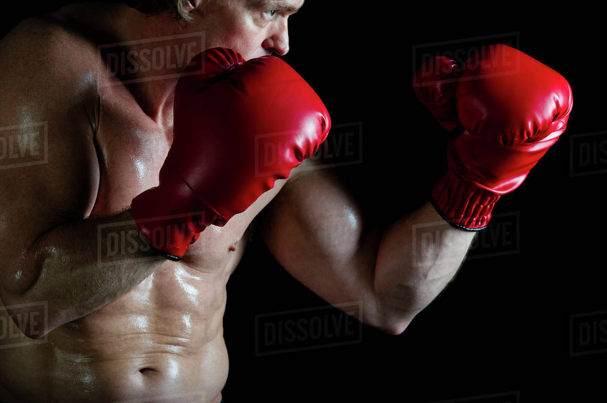 Boxer wearing red boxing gloves - Stock Photo - Dissolve