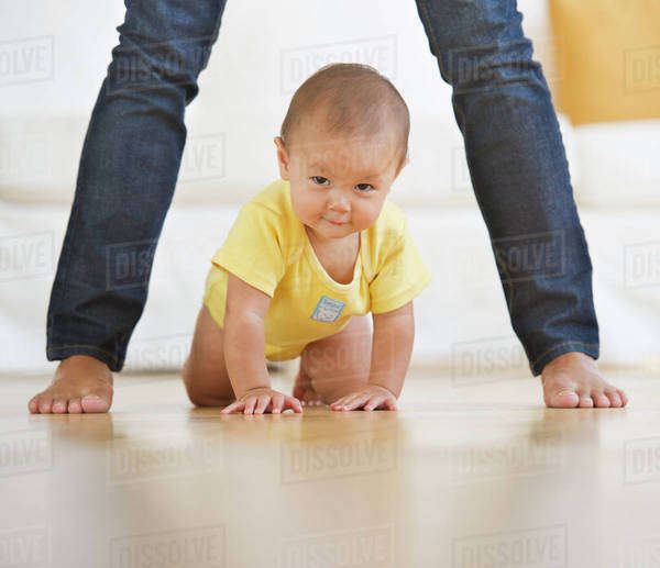 Baby boy (6-11 months) crawling between mother's legs - Stock Photo ...