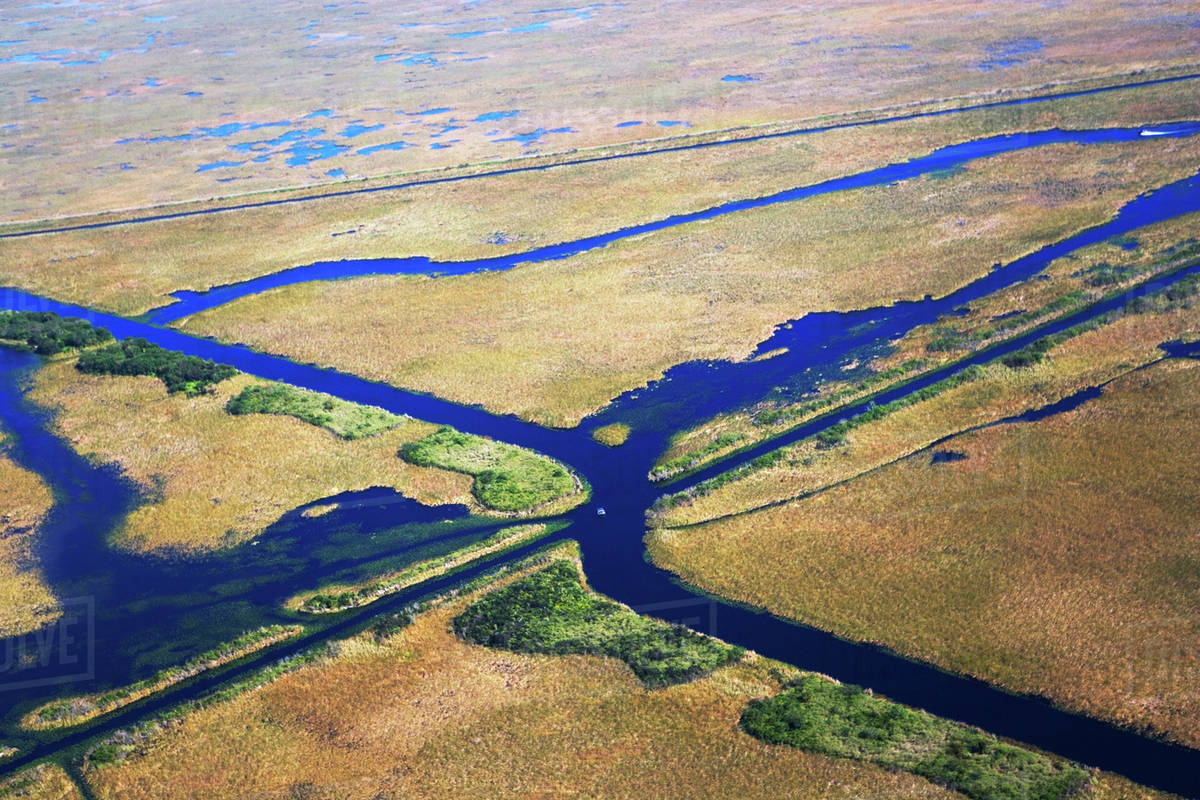 Aerial view of marsh - Stock Photo - Dissolve