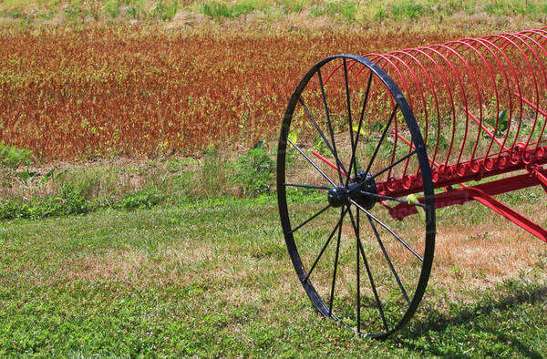 Plow in farmer's field - Stock Photo - Dissolve