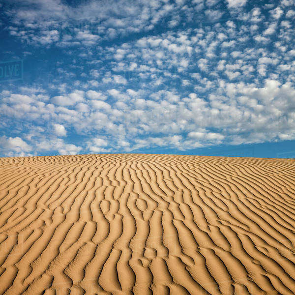 Wave pattern in desert sand - Royalty-free Stock Photo | Dissolve