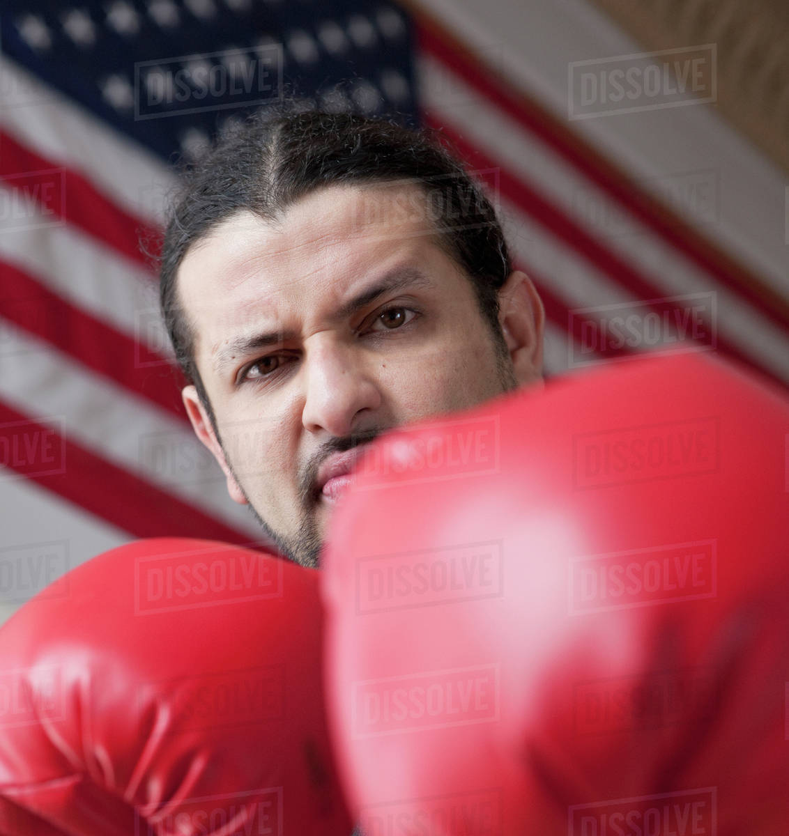 Angry American boxer - Royalty-free Stock Photo | Dissolve