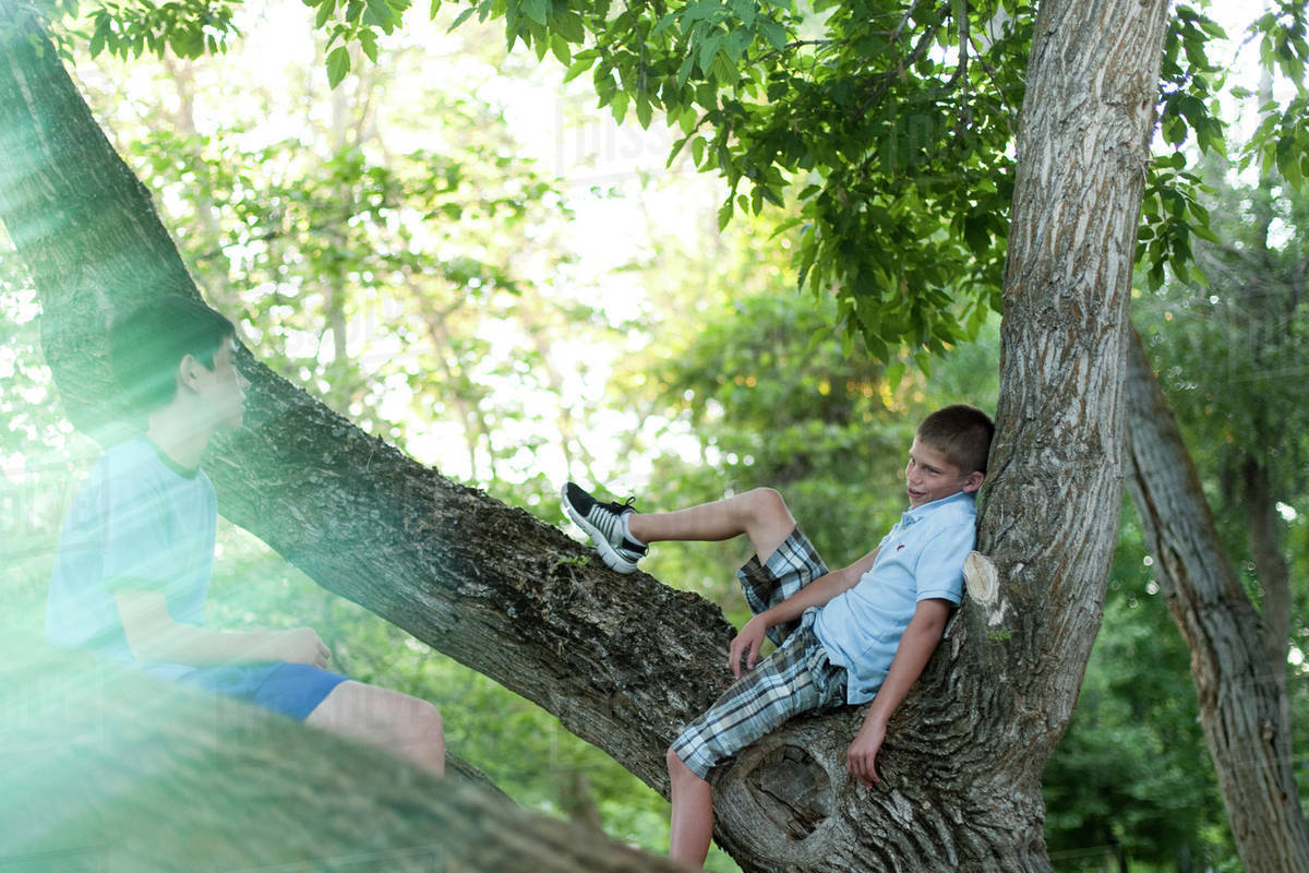 Two boys sitting in a tree - Royalty-free Stock Photo | Dissolve