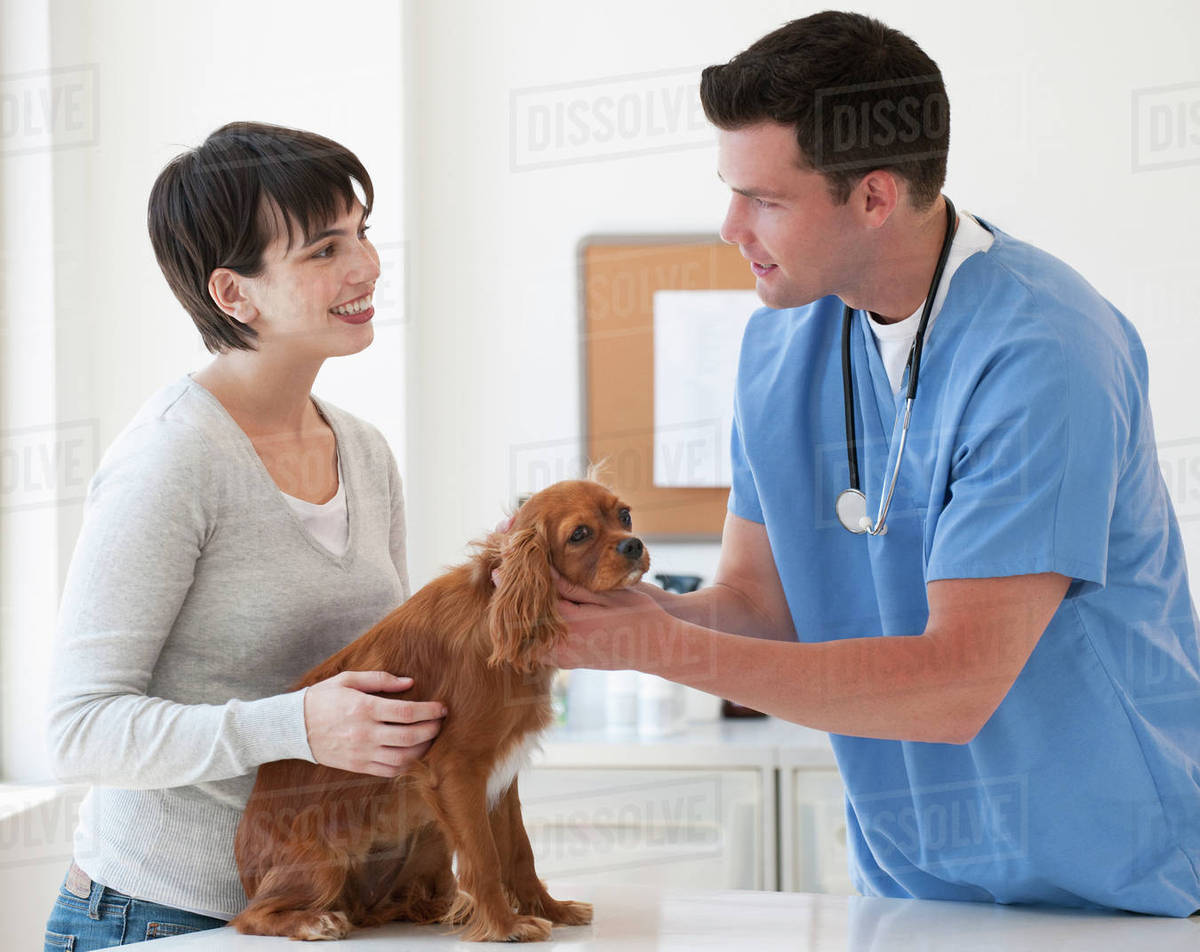 Vet and owner with dog - Royalty-free Stock Photo | Dissolve