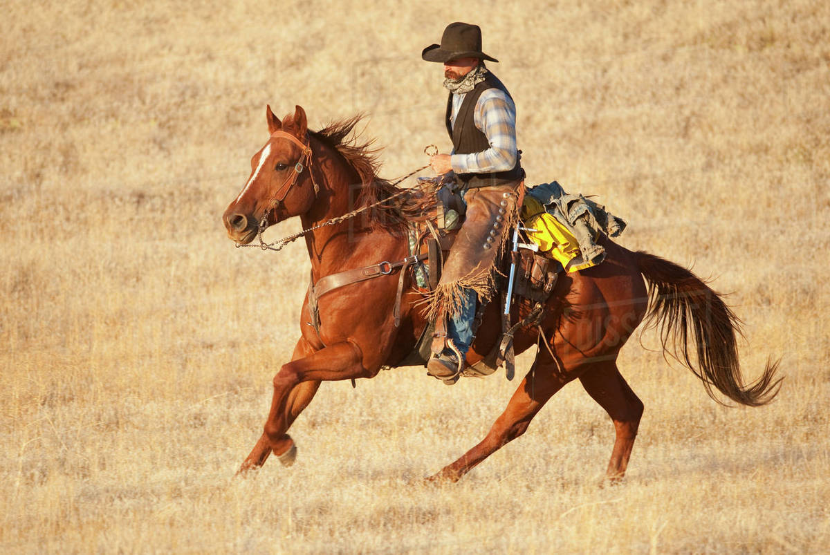 Horseback rider - Royalty-free Stock Photo | Dissolve