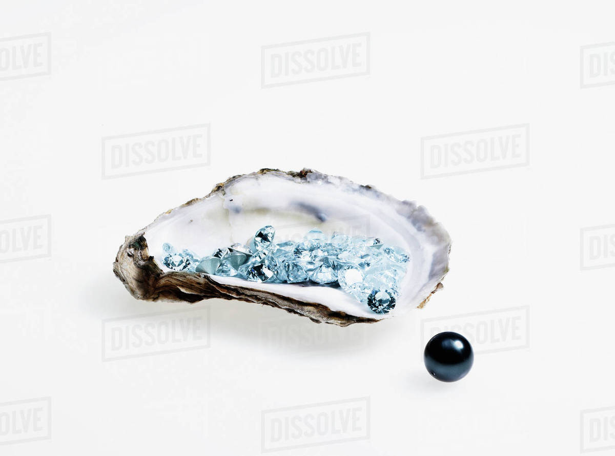 Oyster and black pearl - Stock Photo - Dissolve