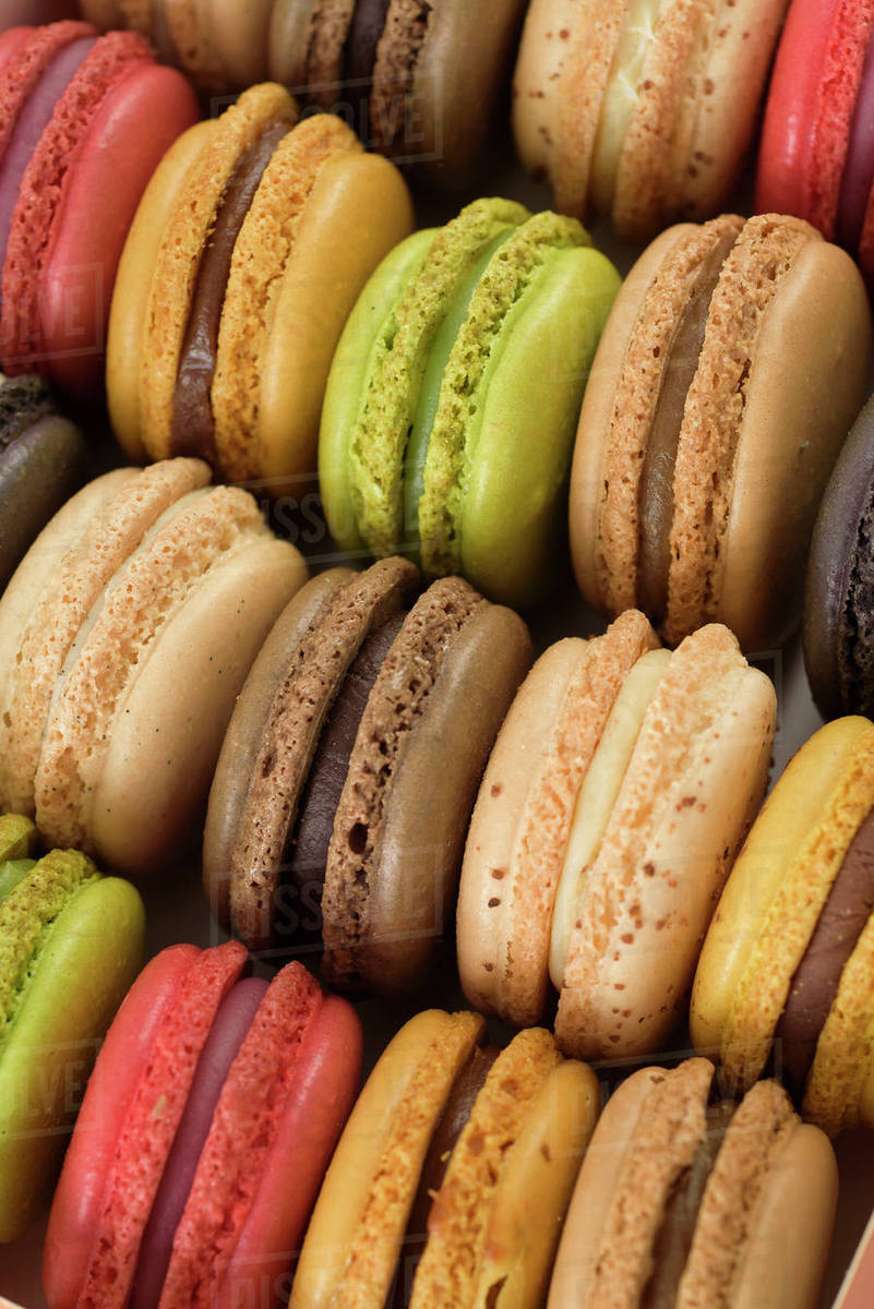 Multi colored macaroons - Stock Photo - Dissolve