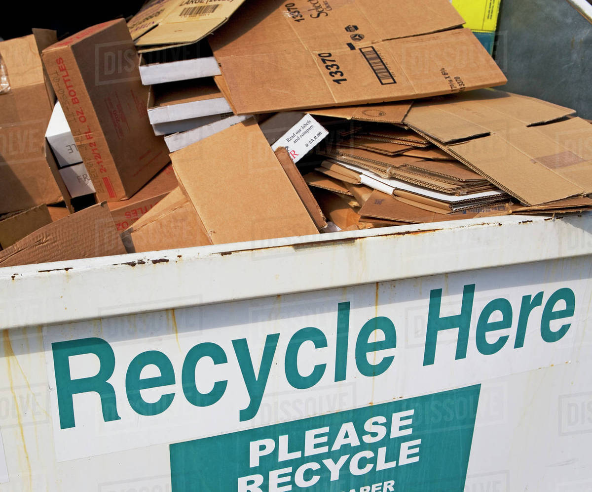 Recycling dumpster filled with cardboard - Royalty-free Stock Photo ...