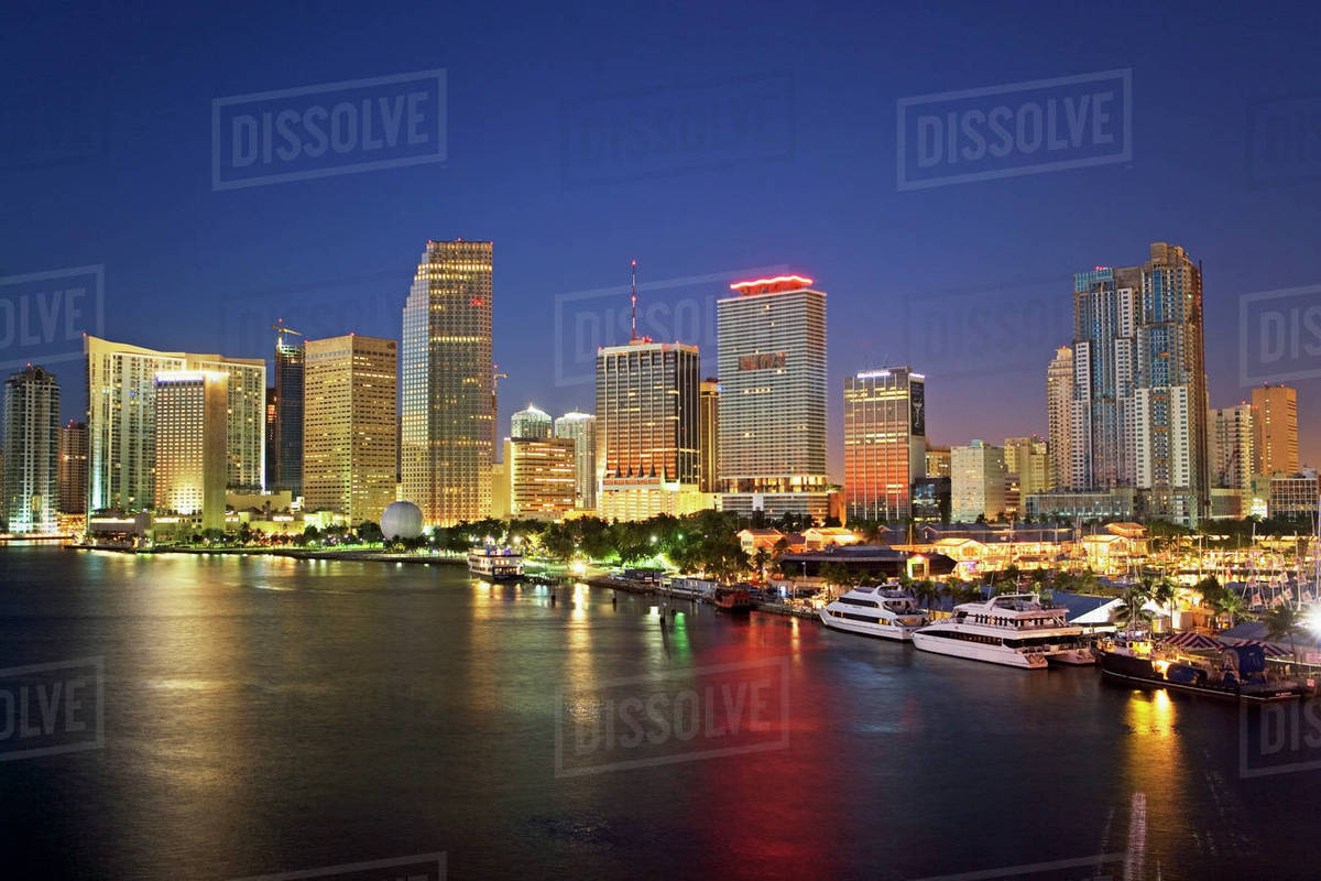Miami city skyline at night, Dade County, Florida, United States ...
