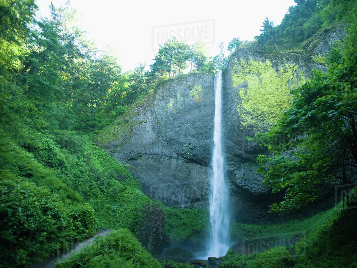 Lush canyon and waterfall - Stock Photo - Dissolve