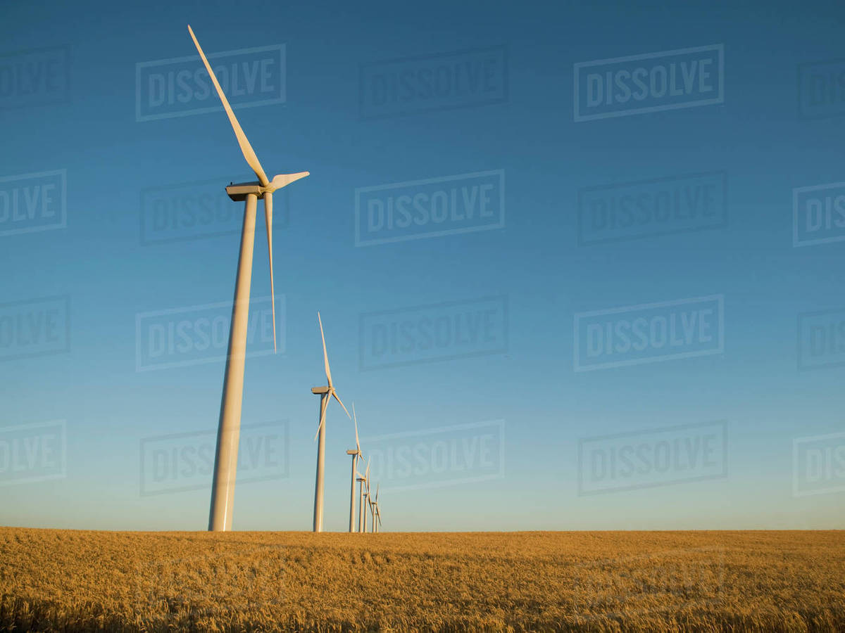 Row of windmills on wind farm - Royalty-free Stock Photo | Dissolve