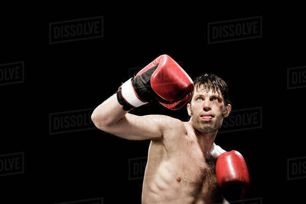 Boxer in fighting stance - Stock Photo - Dissolve