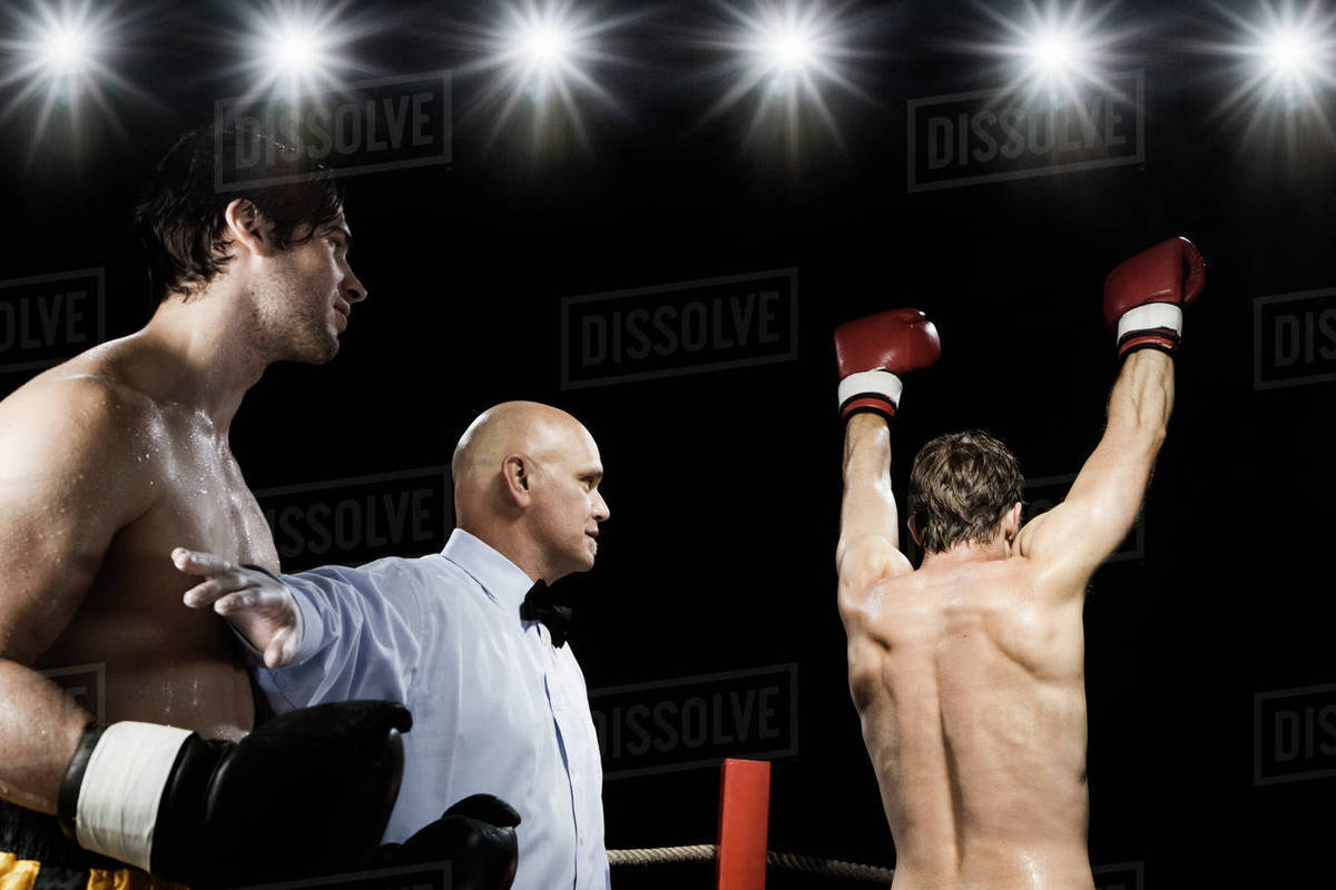 Referee holding losing boxer back from winner - Stock Photo - Dissolve