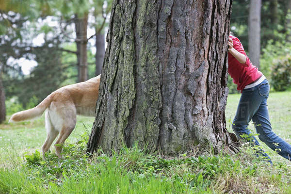Girl playing hide and seek with dog - Royalty-free Stock Photo | Dissolve