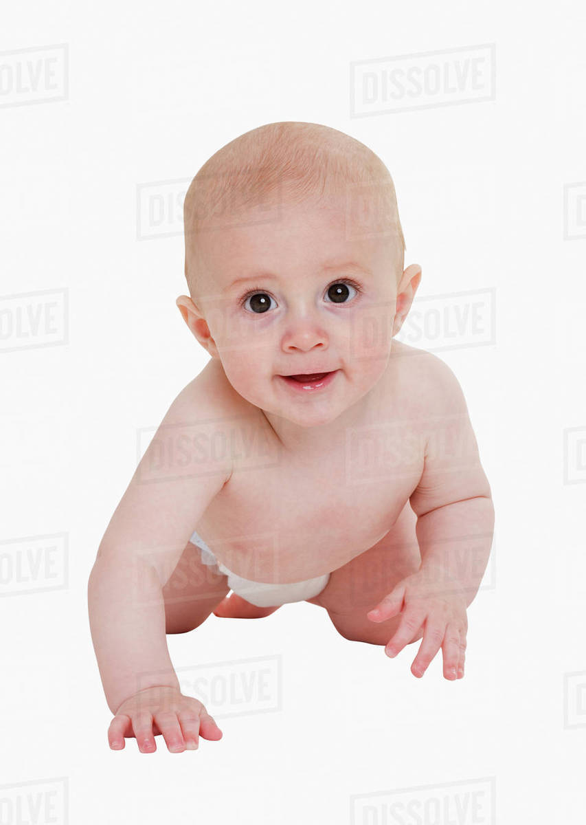 Studio shot of baby crawling - Stock Photo - Dissolve