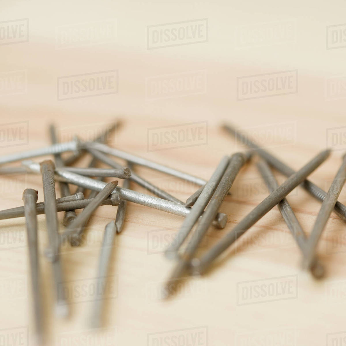 Close up of nails on wood - Stock Photo - Dissolve
