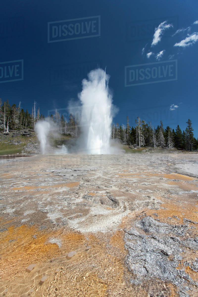 Upper Geyser Basin - Stock Photo - Dissolve