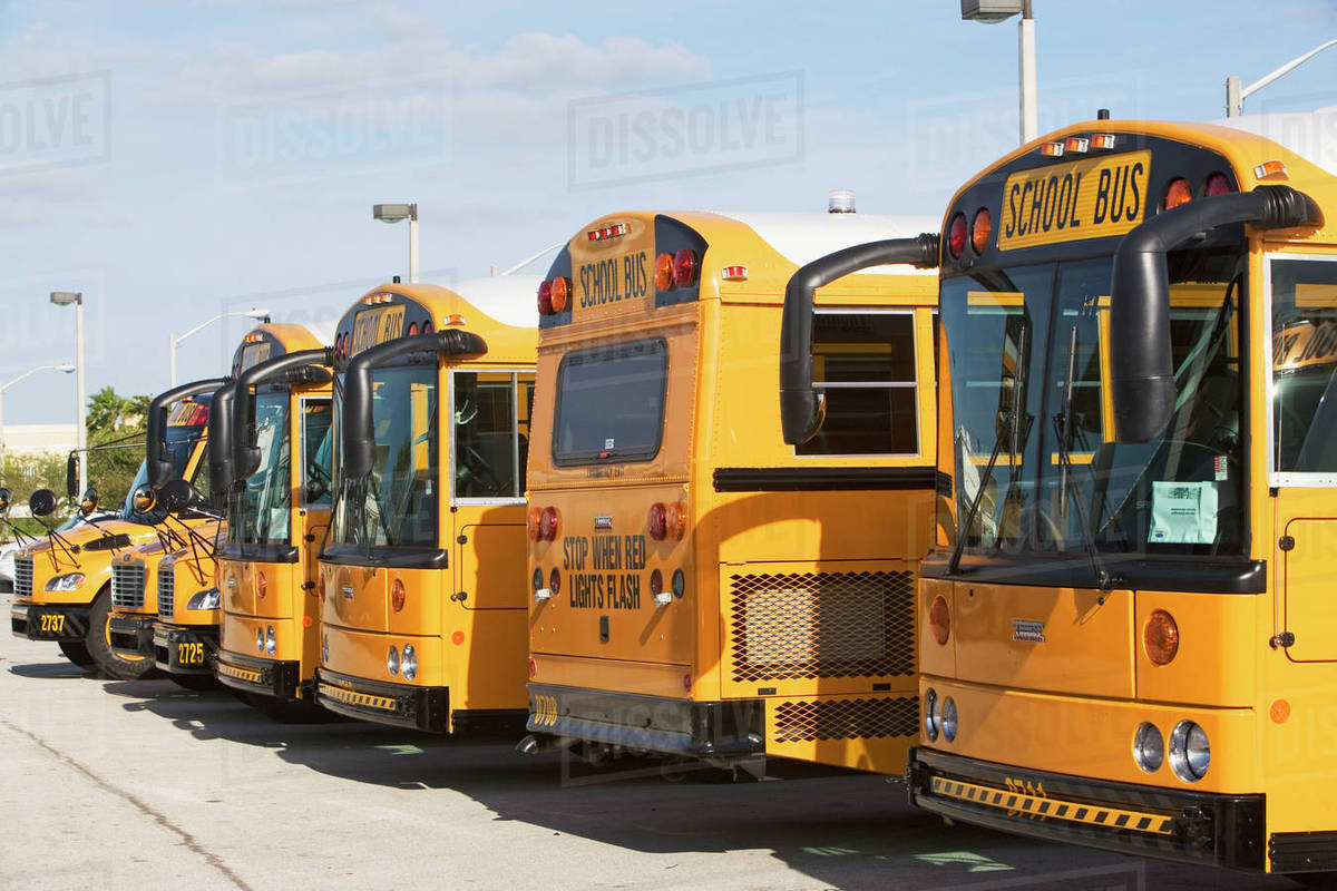 Row of school buses - Stock Photo - Dissolve