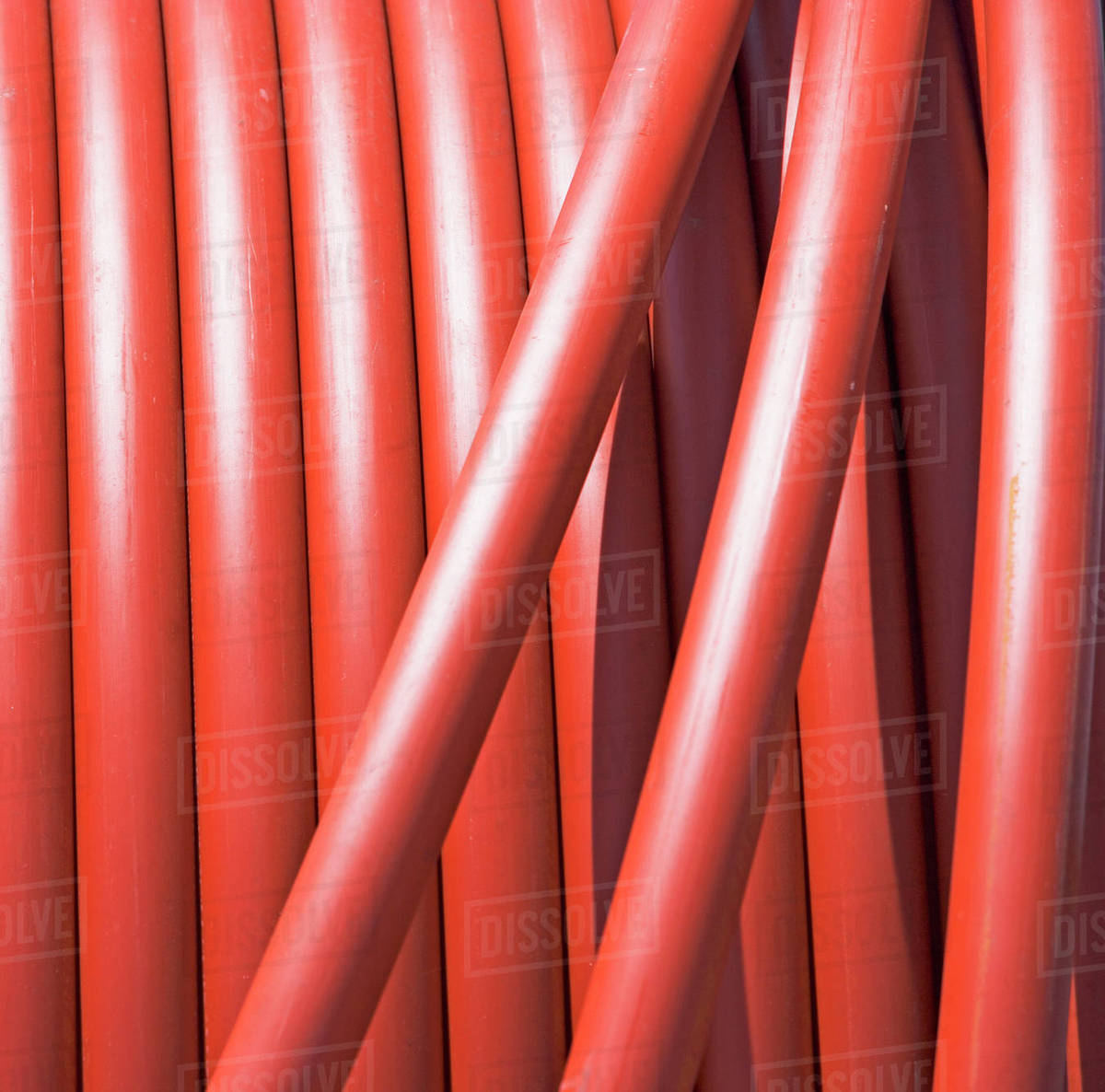 Close up of rolled hose - Royalty-free Stock Photo | Dissolve
