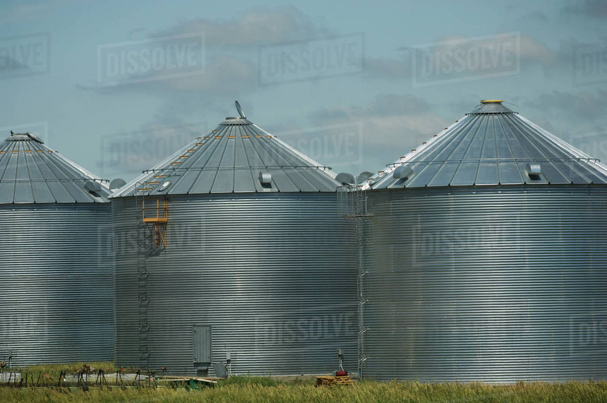 Row of grain storage silos - Stock Photo - Dissolve