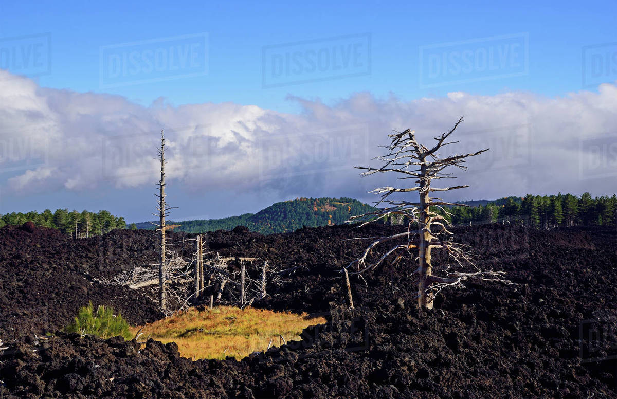 Mount Etna's dried lava flow - Royalty-free Stock Photo | Dissolve