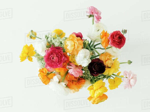 Bouquet of ranunculus flowers - Royalty-free Stock Photo | Dissolve