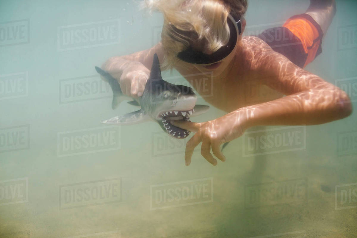 Boy (8-9) playing with toy shark in sea - Royalty-free Stock Photo ...