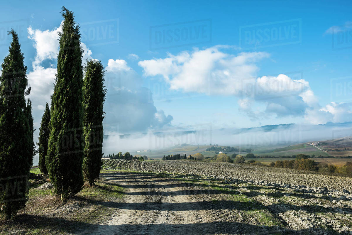 Italy, Tuscany, San Quirico D'orcia, View of plowed fertile soil and ...
