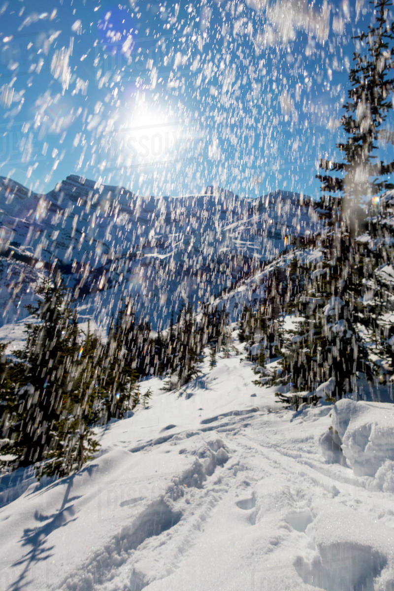 Fresh snow thrown in the air on an alpine day. - Royalty-free Stock ...