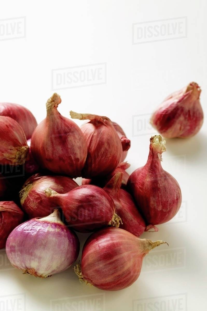 Several shallots - Royalty-free Stock Photo | Dissolve