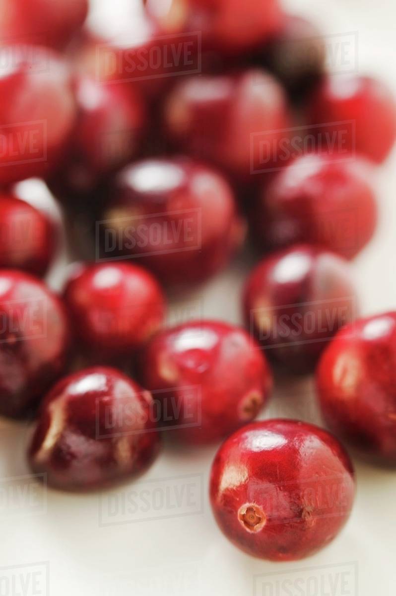 Cranberries (close-up) - Royalty-free Stock Photo | Dissolve