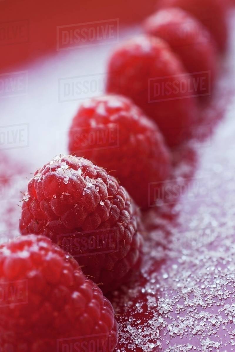 A row of raspberries (close up) - Stock Photo - Dissolve