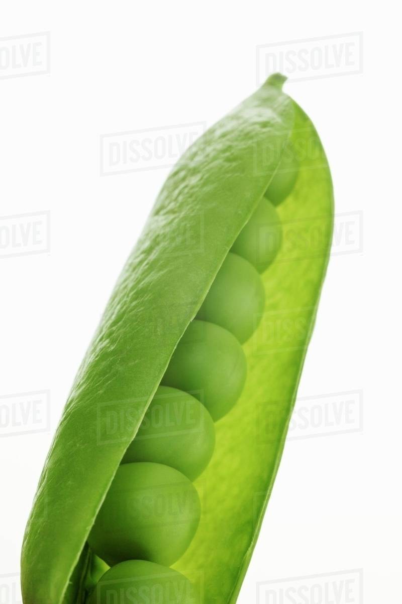 A pea pod - Stock Photo - Dissolve