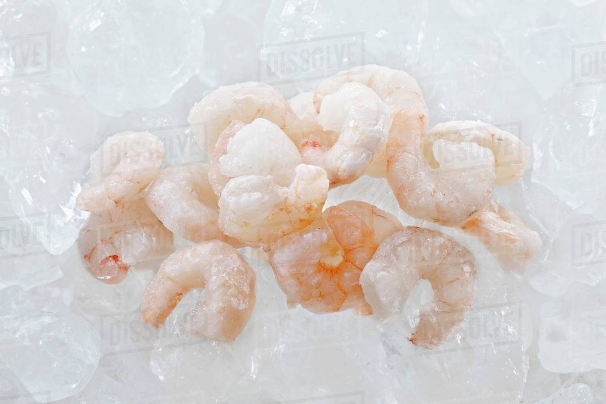 Frozen prawns on ice - Stock Photo - Dissolve
