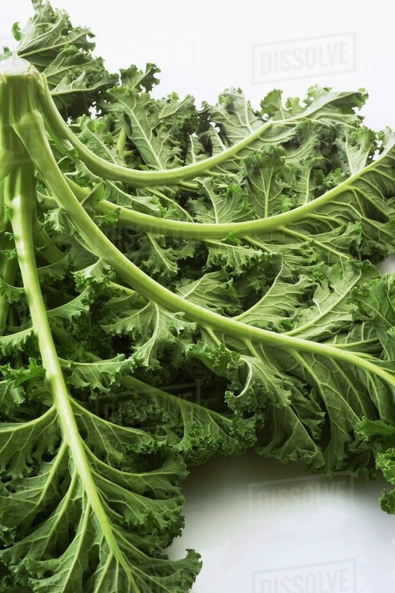 Kale, close-up - Royalty-free Stock Photo | Dissolve
