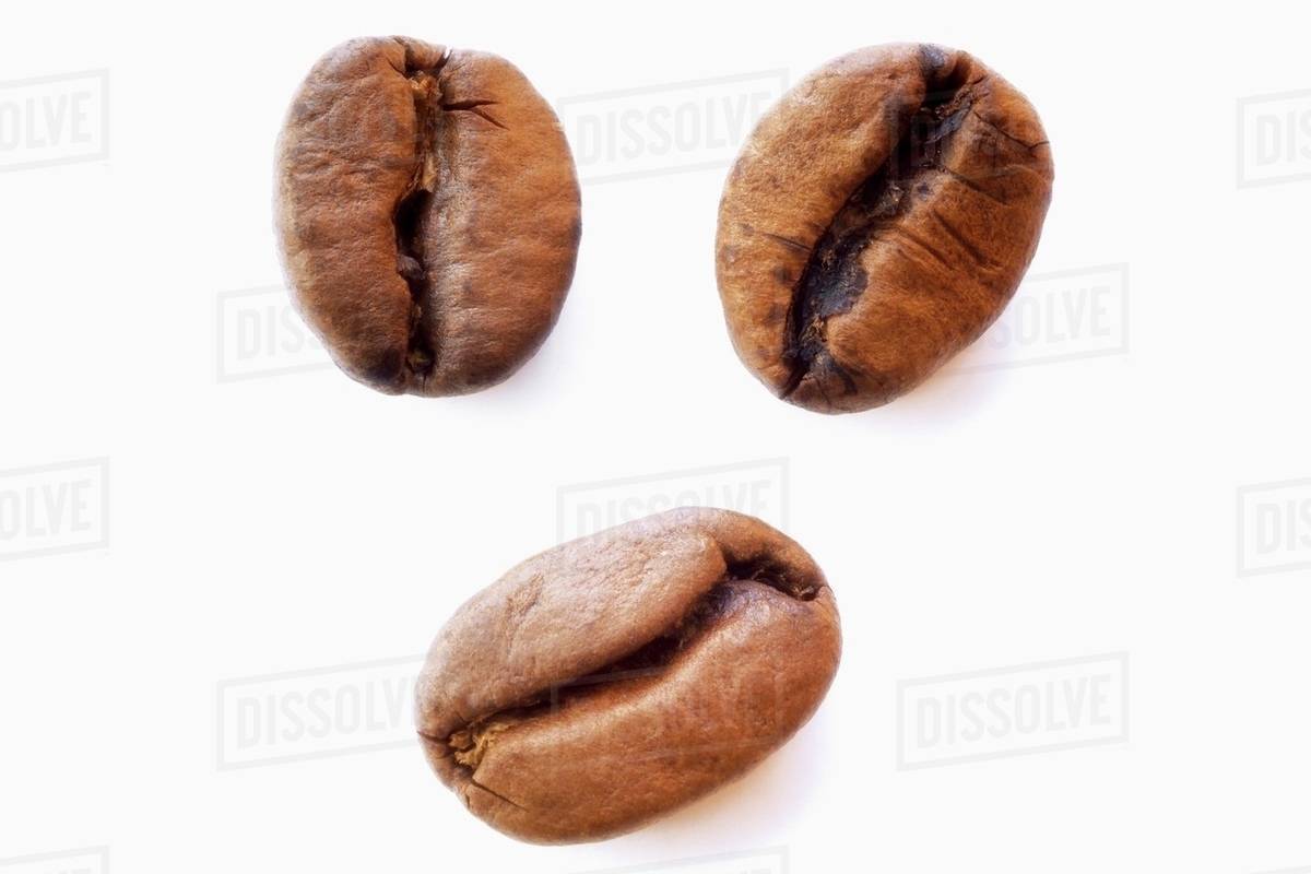 Three coffee beans - Royalty-free Stock Photo | Dissolve