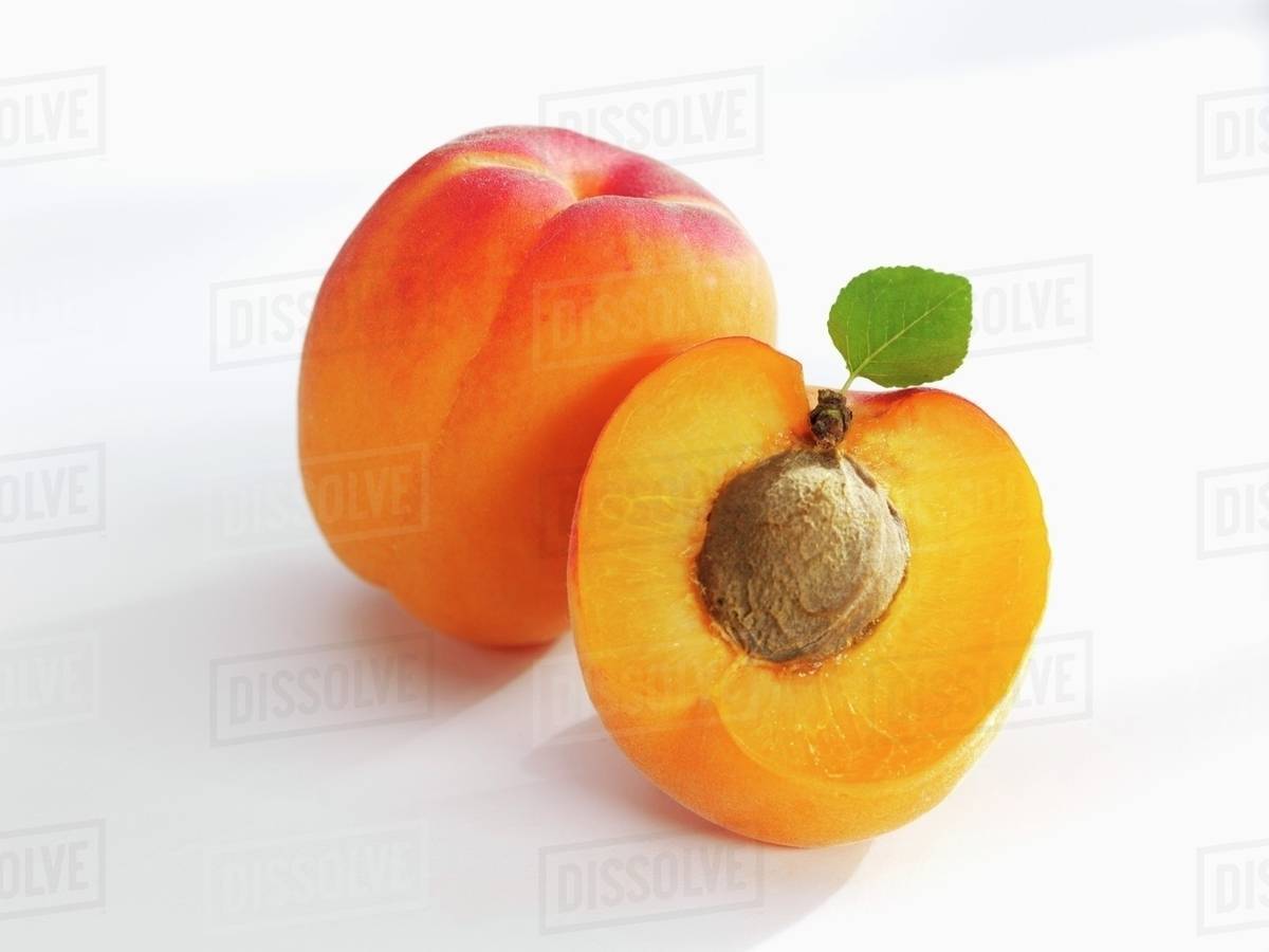 Whole and half apricot - Royalty-free Stock Photo | Dissolve
