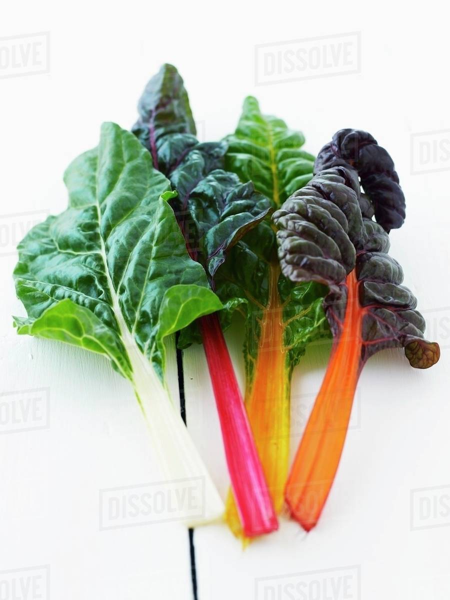 Various types of chard - Royalty-free Stock Photo | Dissolve