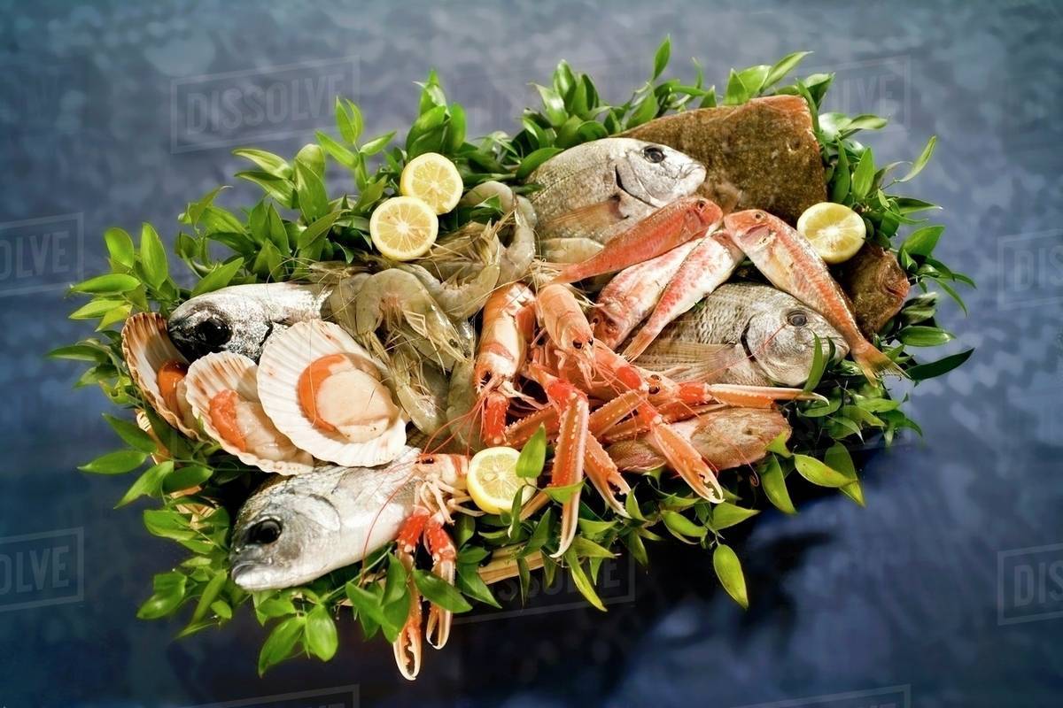 Fish and seafood in basket - Royalty-free Stock Photo | Dissolve