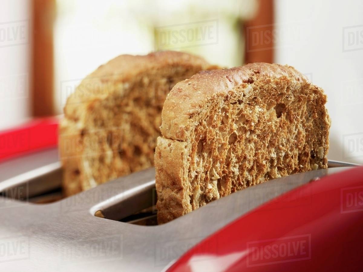 Slices of wholemeal toast in toaster - Royalty-free Stock Photo | Dissolve