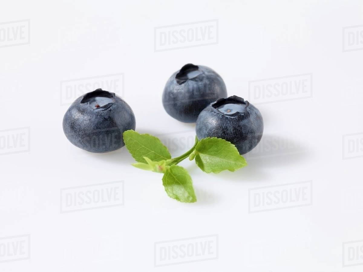Three blueberries - Royalty-free Stock Photo | Dissolve