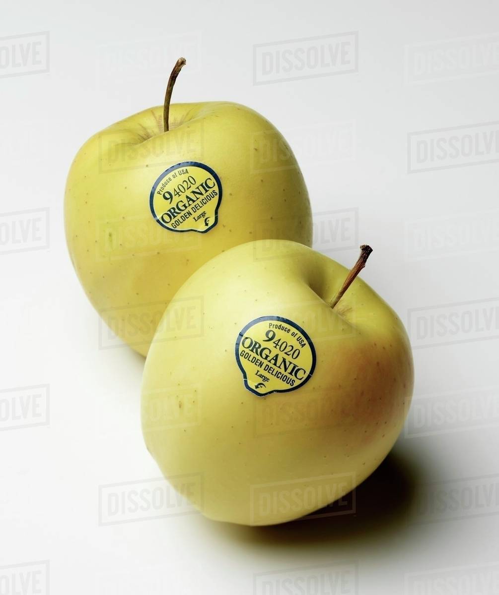 Two Organic Golden Delicious Apples on White - Royalty-free Stock Photo ...