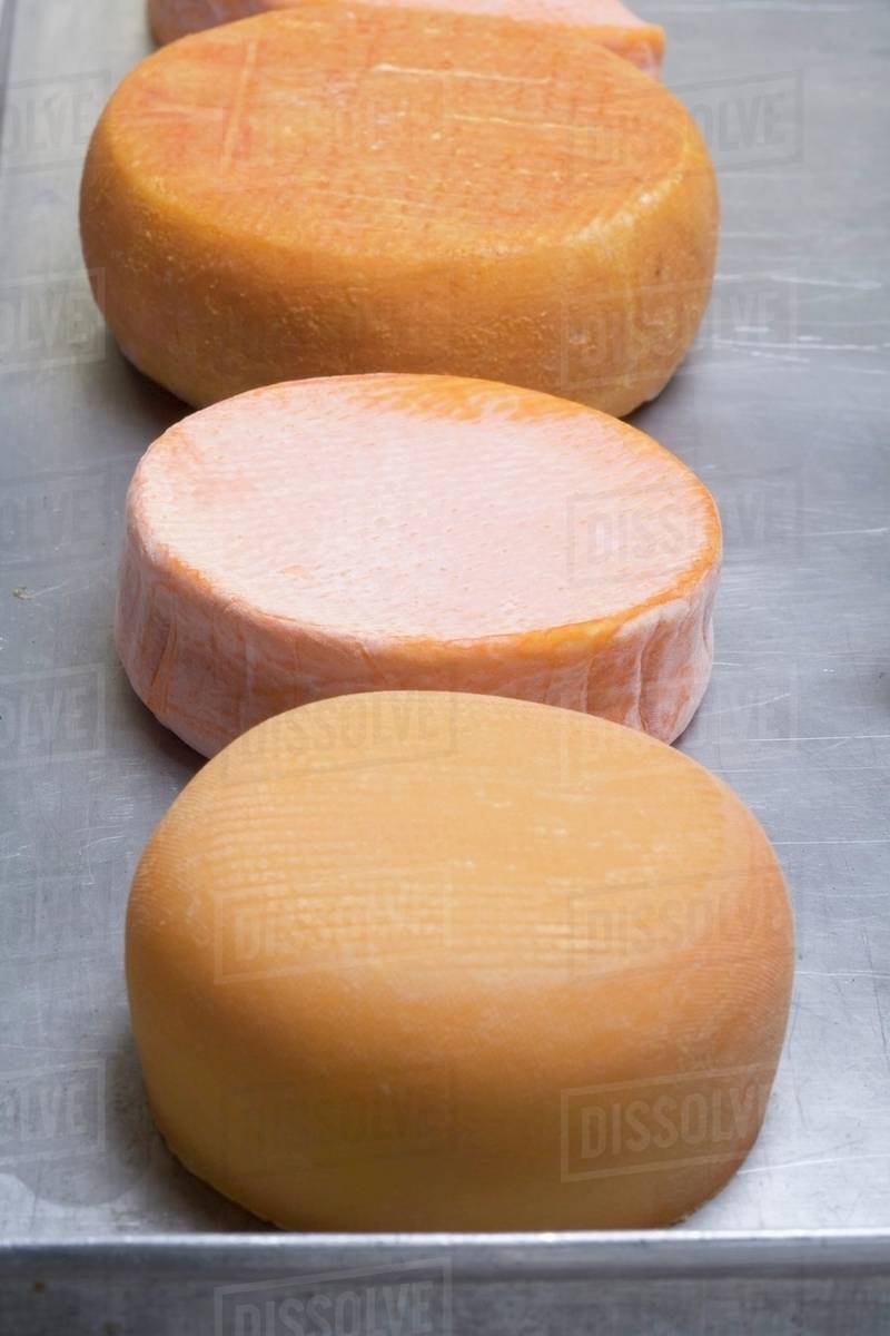 Various round cheeses - Royalty-free Stock Photo | Dissolve