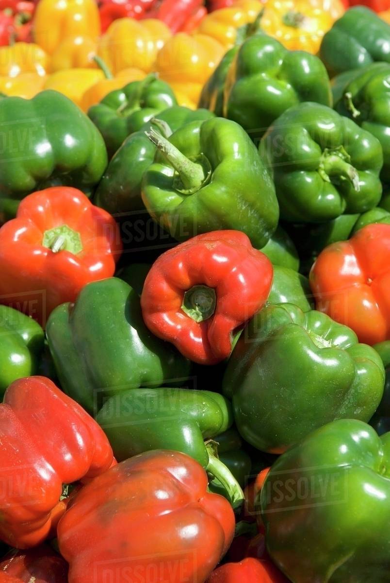 Variety of Fresh Whole Bell Peppers - Stock Photo - Dissolve