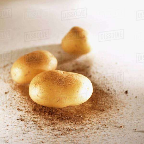 Three potatoes - Royalty-free Stock Photo | Dissolve