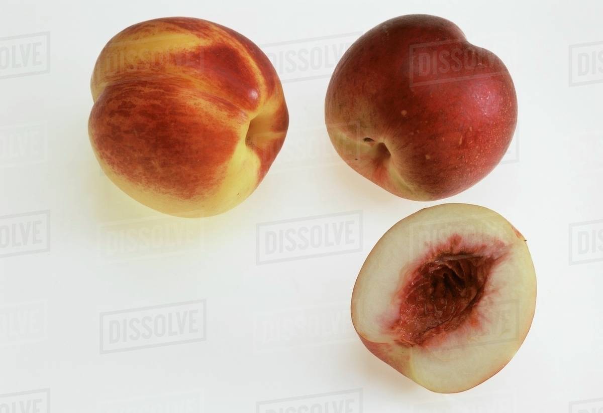 Two whole nectarines and half of a nectarine - Stock Photo - Dissolve